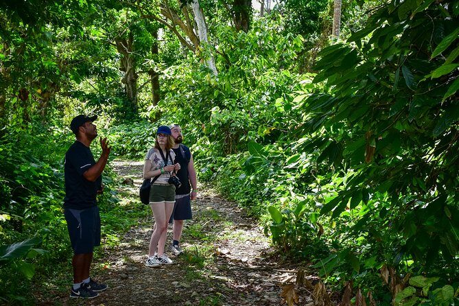 Let's do hiking in Punta Cana - Authentic Experiences & Real Guest Feedback