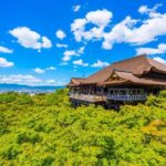Let's enjoy wearing Kimono! Kyoto Kiyomizu Temple Short Tour - Who Should Consider This Tour?