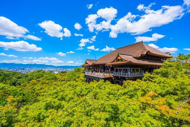 Let's enjoy wearing Kimono! Kyoto Kiyomizu Temple Short Tour - Who Should Consider This Tour?