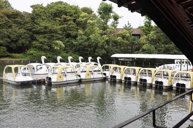 Let's take a walk in the park together!!! - Why This Experience Matters