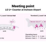LG U Plus Unlimited Korea SIM Card + Transportation card - Who Will Benefit Most from This Package?