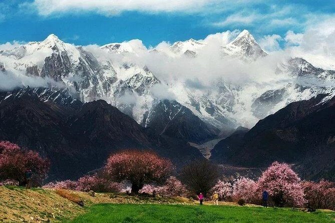 Lhasa Private Departure Transfer: Hotel to Airport - The Sum Up