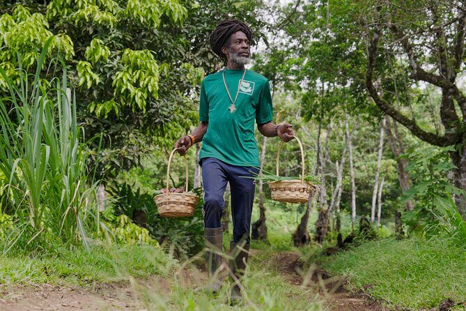 Liamuiga Natural Farm Tour - St.Kitts' Coffee Farm - Who Will Love This Tour?