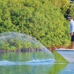 Light Tackle Tarpon Fishing - FAQs