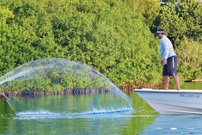 Light Tackle Tarpon Fishing - FAQs