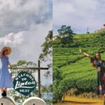 Lipton Seat Legacy: Tuk-Tuk & Train Tea Trails Tour - Evaluating the Value