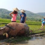 Living Land Experience and Kuang Si water with Lunch - Who Will Love This Tour?