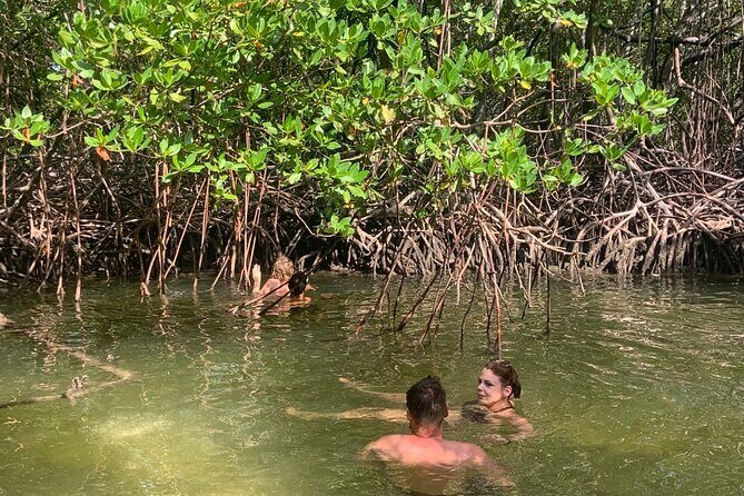 Local Excursion | Paradise Island Punto Rucia & snorkeling - Snorkeling & Marine Environment: Why It Matters