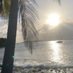 Local Experience, St. John U.S. Virgin Islands Food Tour - Authenticity and Unique Features