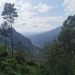 Local Life, Food & Nature Around Kandy by Tuk-Tuk - A Closer Look at the Itinerary