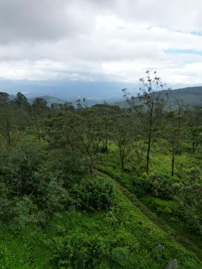 LOCATION: Hanthana to Galaha Pekoe Trail Stage 01 Trek - Who Should Consider This Experience?