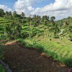 Lombok: 3-Day Hidden Gems Tour with Hotel & Private Car - What We Think About the Value