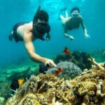 Lombok: 3 Secret Gili Snorkeling Trip & Traditional Heritage - Island Hopping and Relaxation: The Value of Multiple Stops