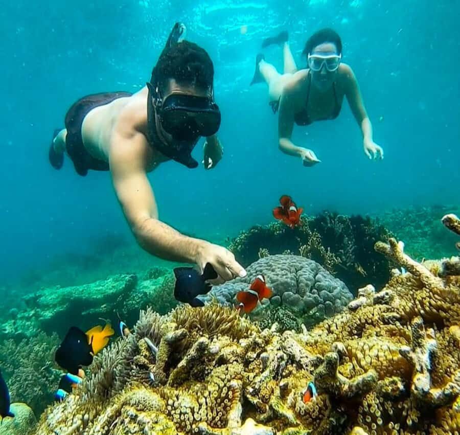 Lombok: 3 Secret Gili Snorkeling Trip & Traditional Heritage - Island Hopping and Relaxation: The Value of Multiple Stops