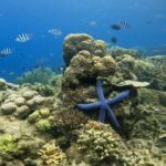 Lombok: 5 Gili Islands Snorkeling Tour With Private Boat - Detailed Breakdown of the Itinerary