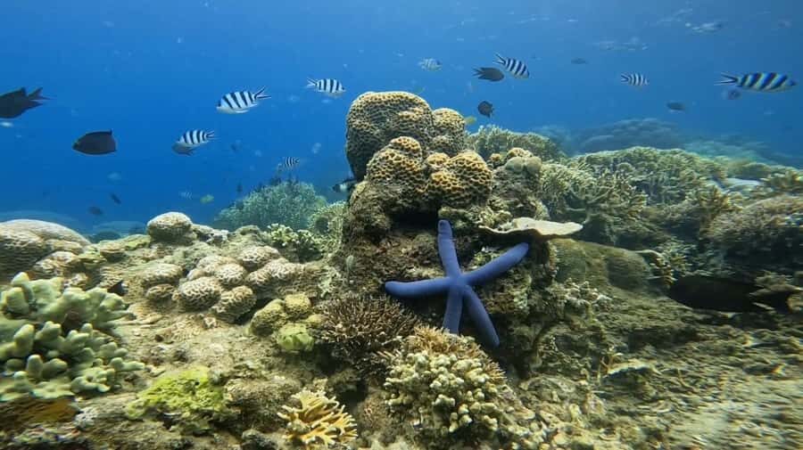 Lombok: 5 Gili Islands Snorkeling Tour With Private Boat - Detailed Breakdown of the Itinerary