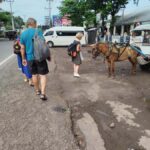 Lombok: Benang Stokel Waterfall Guided Trek with Snacks - What to Expect from Your Trekking Adventure