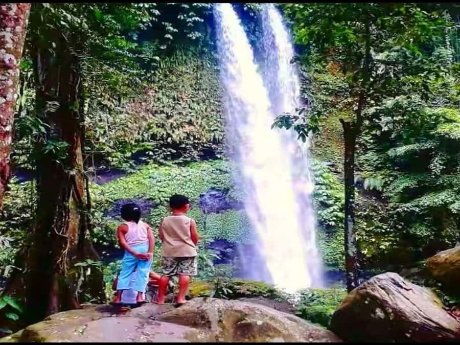 Lombok Biggest Waterfall - Sendang Gile & Tiu Kelep Tour - Why This Tour Offers Real Value