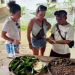 Lombok: Coffee Experience, Rice Terraces & Waterfalls Tour - Discovering Lombok’s Coffee Heritage