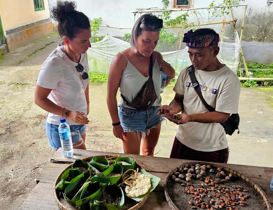 Lombok: Coffee Experience, Rice Terraces & Waterfalls Tour - Discovering Lombok’s Coffee Heritage