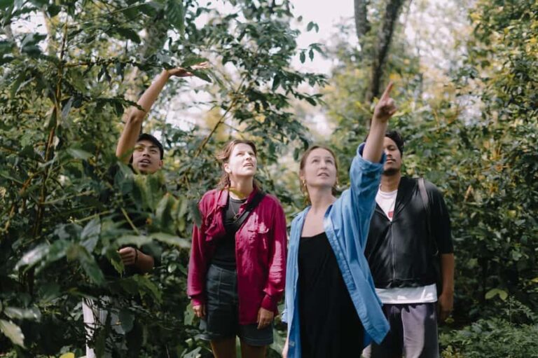 Lombok: Coffee Plantation Tour With Tasting - What You Can Expect on the Tour