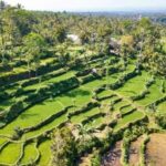 Lombok: Culture, Rice Terrace, and Waterfall Full-Day Tour - Analyzing the Value