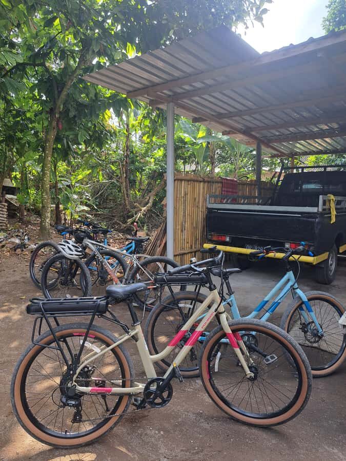 Lombok Cycling tour: Rice field, Waterfall, Monkey Forest - Small Group, Personal Experience