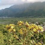 Lombok Escape: Nature, Culture & Sembalun Highlands Day Trip - Who Will Love This Tour?