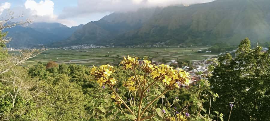 Lombok Escape: Nature, Culture & Sembalun Highlands Day Trip - Who Will Love This Tour?