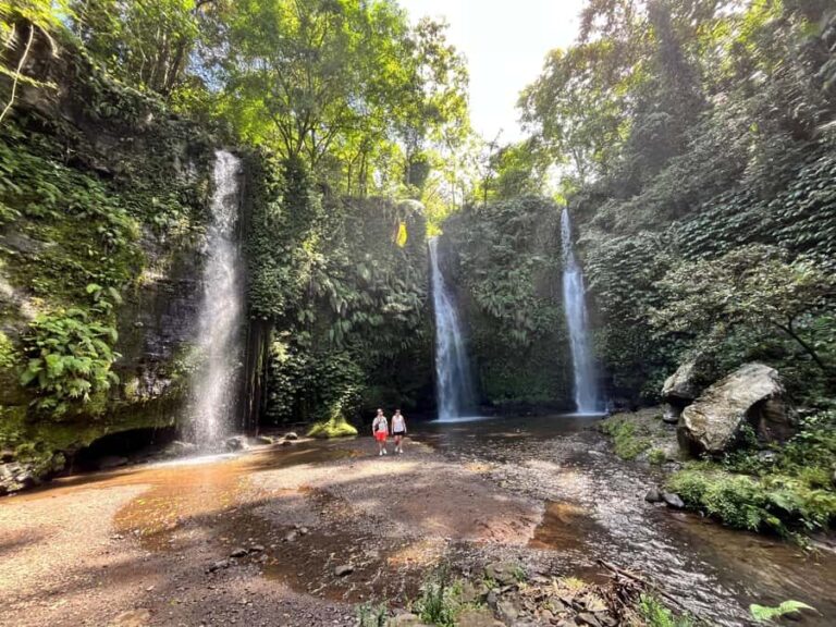 Lombok : Explore 4 Waterfall, Heritage & City Tour. - What We Love About This Tour