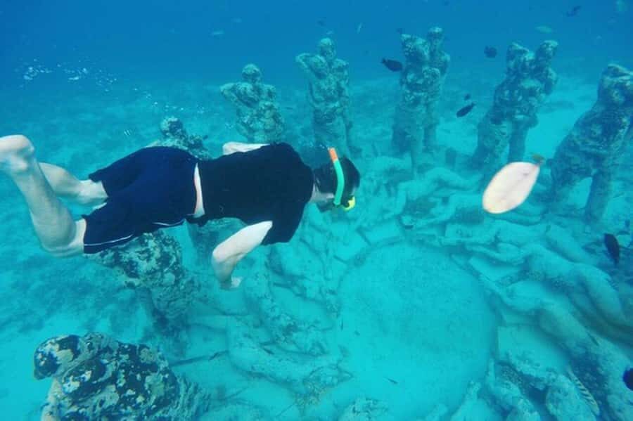Lombok : Gili Islands Private Snorkeling Tour - Why This Tour Offers Great Value