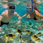 Lombok: Gili Kondo, Petagan, dan kapal Snorkeling Tour - The Details That Matter