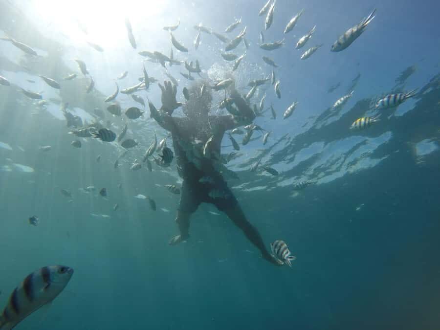 Lombok: Gili Nanggu, Kedis, and Sudak Islands Boat Tour - Who Will Love This Trip?