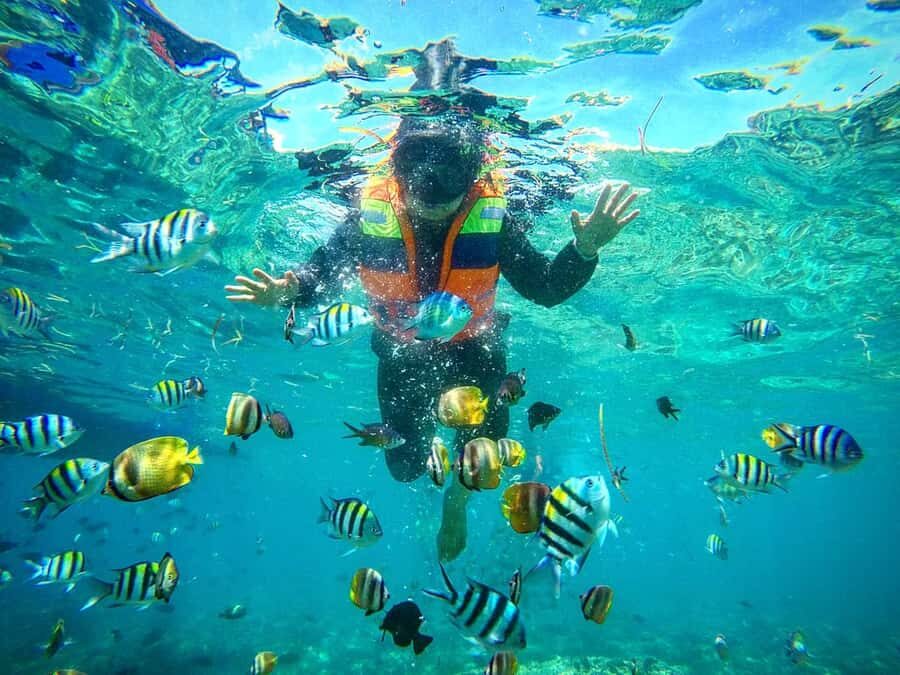 Lombok: Gili Nanggu, Sudak, & Gili Kedis Private Snorkeling - What to Expect: The Itinerary in Detail