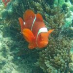 Lombok: Gili Rengit, Gili Gede, and Gili Layar Island Tour - What You Can Expect During the Tour