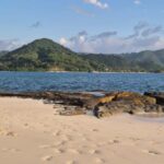 Lombok : Gili Snorkeling Trip (Goleng, Asahan, Layar) - What to Expect From the Experience