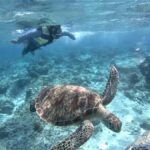 Lombok: Gili Trawangan, Meno, Air Snorkeling Trip - What Sets This Tour Apart