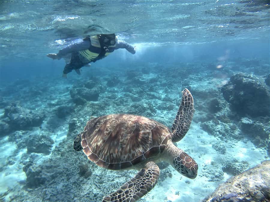 Lombok: Gili Trawangan, Meno, Air Snorkeling Trip - What Sets This Tour Apart