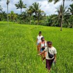 Lombok Hidden Waterfalls Walk, Rice Fields & Weaving Village - Why This Tour Offers Good Value