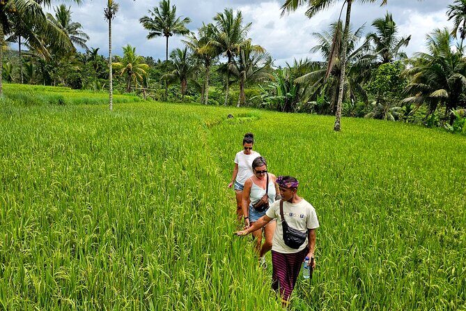Lombok Hidden Waterfalls Walk, Rice Fields & Weaving Village - Why This Tour Offers Good Value