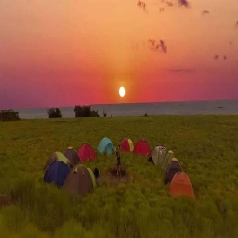 Lombok: Kenawa & Moyo Islands 2-Day Tour with Meals - Genuine Value and Traveler Insights