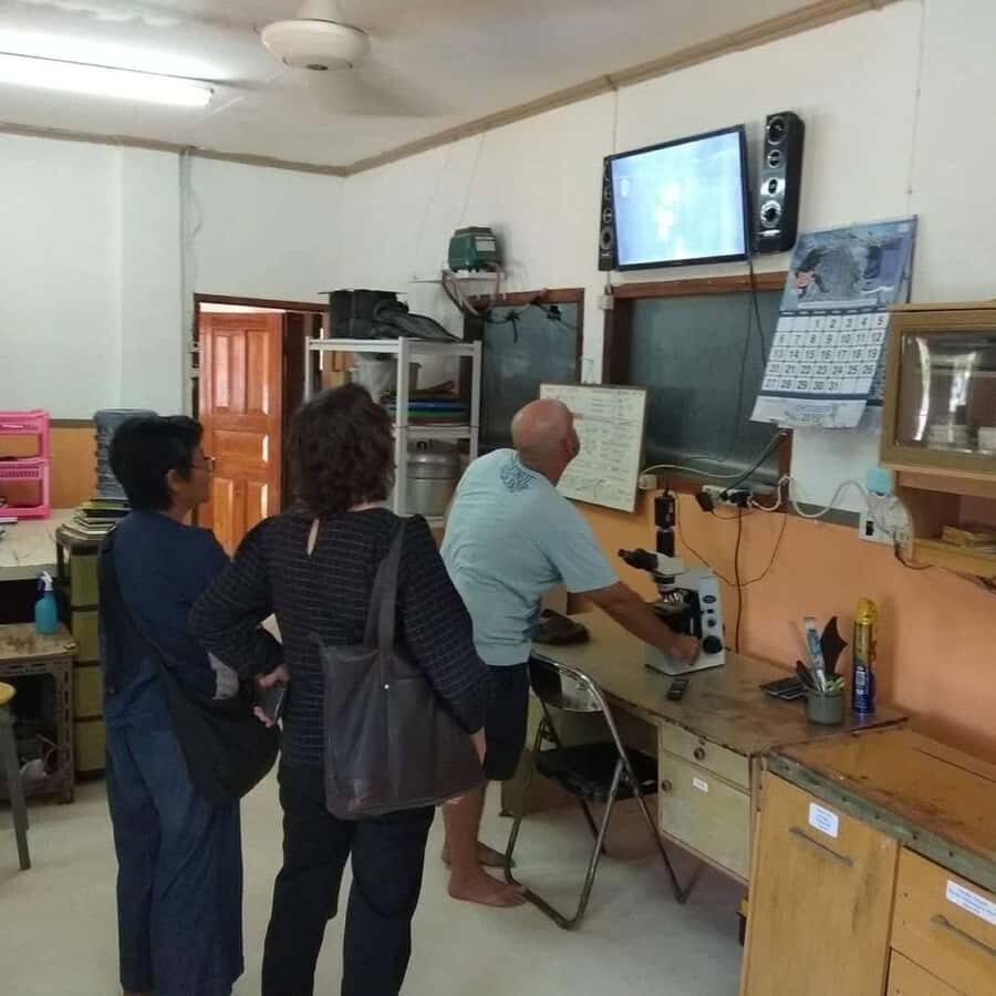 Lombok: Pearl Farm Tour and Gili Air Day Trip - Exploring the Pearl Farm: A Closer Look