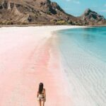 Lombok: Pink Beach Snorkeling and Picnic Tour Fullday - Final Thoughts