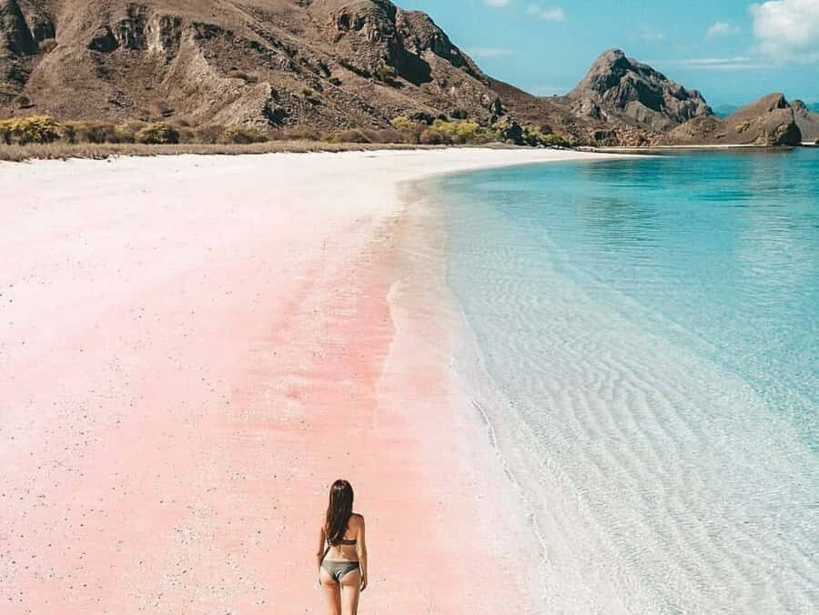 Lombok: Pink Beach Snorkeling and Picnic Tour Fullday - Final Thoughts