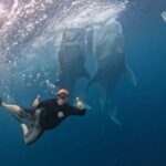 Lombok : Private 2D/1N Whale Shark Tour Lombok Sumbawa - In-Depth Breakdown of the Itinerary