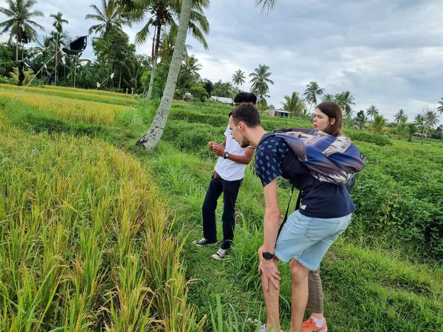 Lombok: Private Customizable Tour with Driver-Guide - The Itinerary: A Day of Discovery