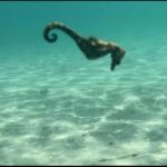 Lombok: Private day trip snorkeling in Secret Island - What Sets This Tour Apart?