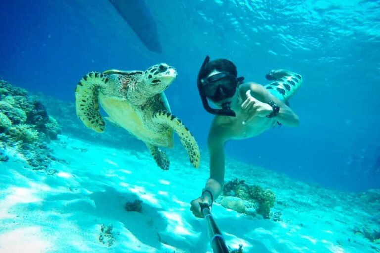 Lombok: Private Snorkeling,Gili Trawangan,Gili Meno,Gili Air - The Itinerary in Depth