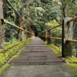 Lombok: Rice Field Terrace & Senaru Waterfalls Guided Tour - Key Points