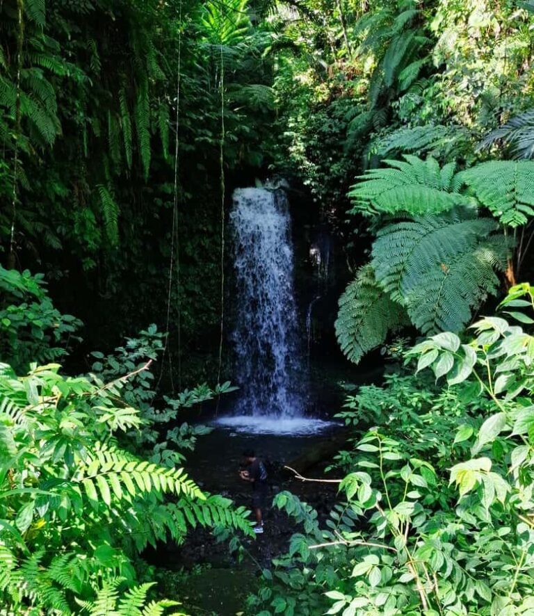 Lombok: Sekeper Waterfall  Hidden Gem & Highest Waterfall - Discovering Five Hidden Waterfalls